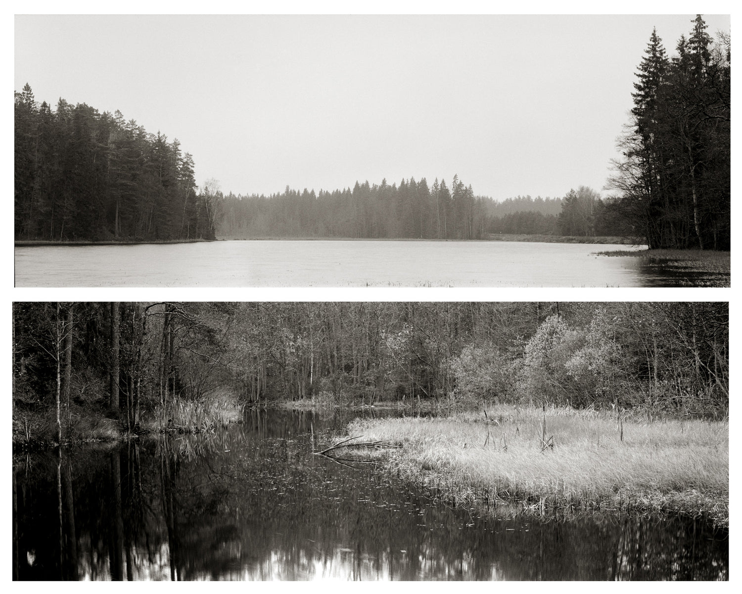 Intrepid Half Frame Dark Slide